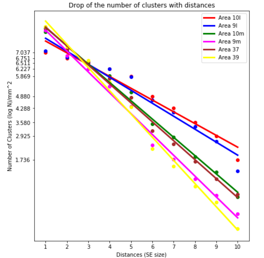 Analysis of neuronal clustering - Brain Imaging Informatics